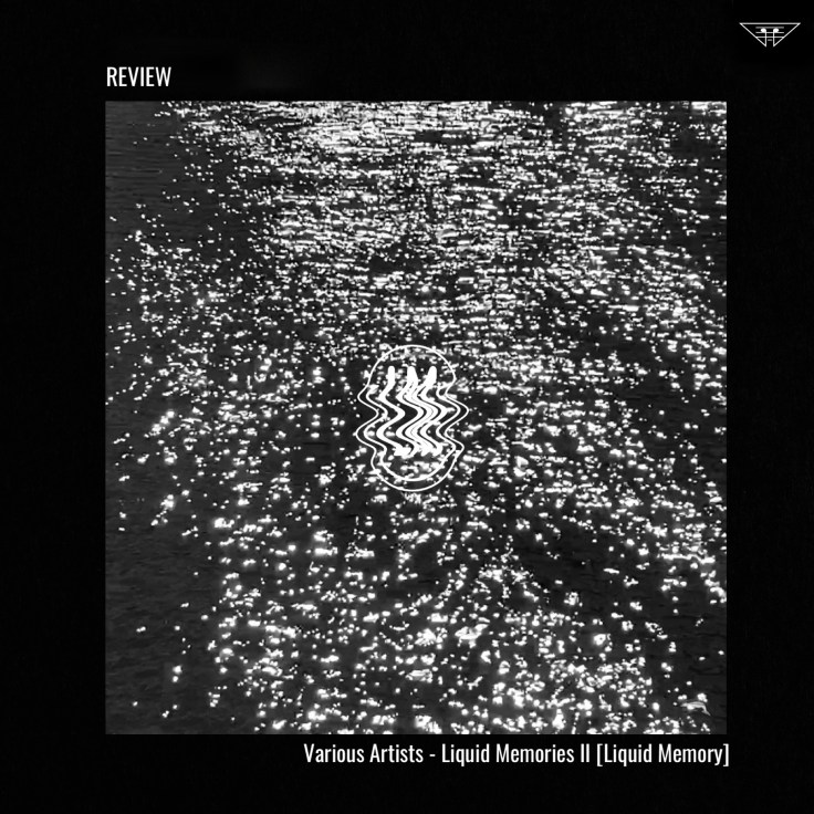 REVIEW Various Artists ‘Liquid Memories II’ [Liquid Memory] – Torture ...